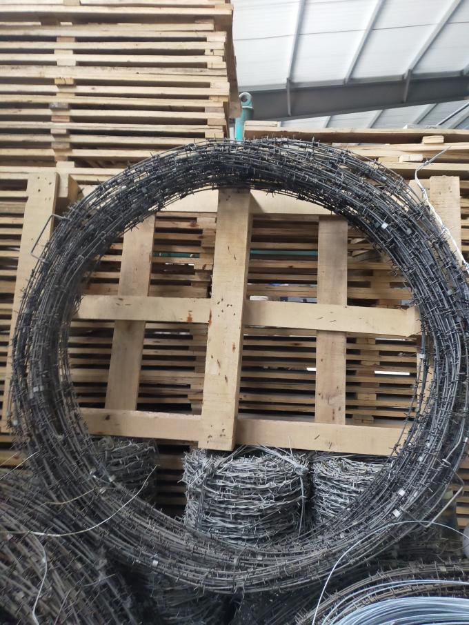 Stachelband-Ziehharmonika-Gaucho-Stacheldraht-Gefängnis-hohe ...